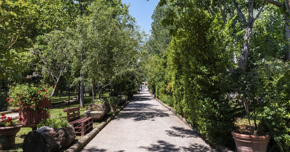 Parco del Grassano | Dove siamo | Come raggiungerci